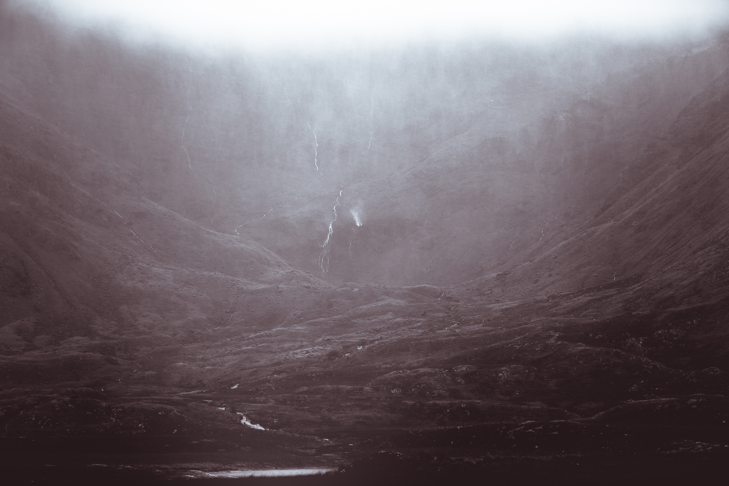 On Photographing Nature by Maria Romanova-Hynes - LEAP